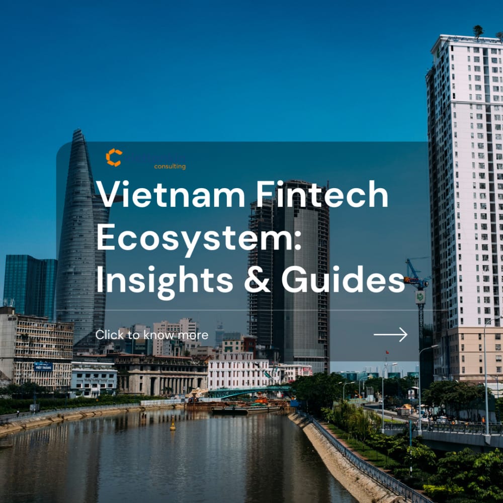 Vietnam fintech ecosystem and the ultimate guide to starting a fintech ...